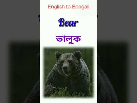 bear meaning in Bengali#bengali to english speaking course