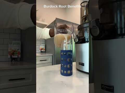 Did You Know? Burdock Root Benefits #healing #healthy #food #wellness #healthylifestyle #antiaging