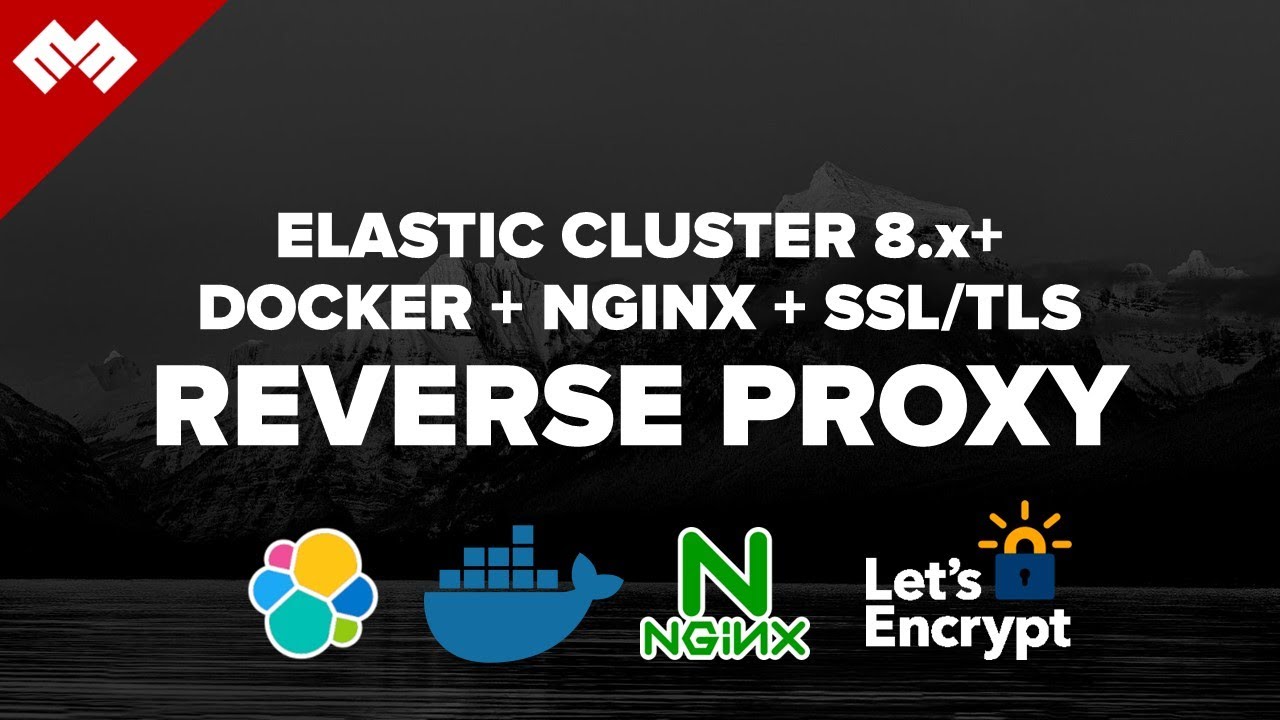 Elasticsearch Cluster Docker Nginx Reverse Proxy Tls