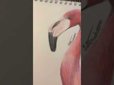 #art #artist #fast #shorts #trend #trending #popular #Flamingo