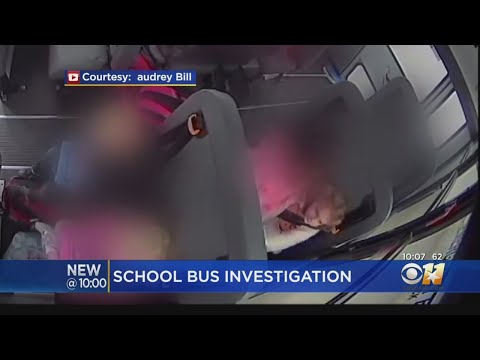 5-Year-Old Girl Attacked On Dallas School Bus; DISD Reassigns Driver