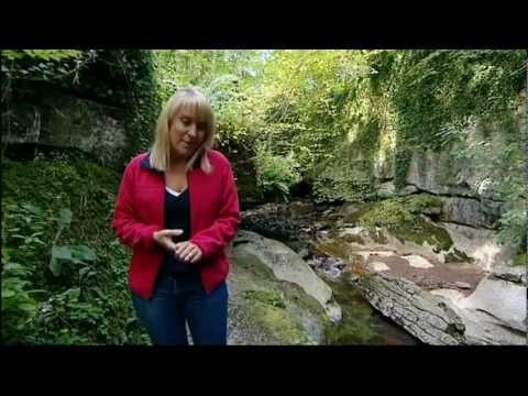 NICKI CHAPMAN - Wanted Down Under.