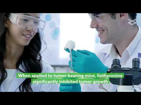 Repurposing hypothyroidism drug liothyronine for cancer immunotherapy