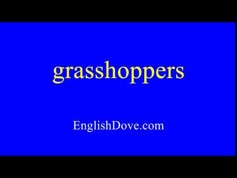 How to pronounce grasshoppers in American English.