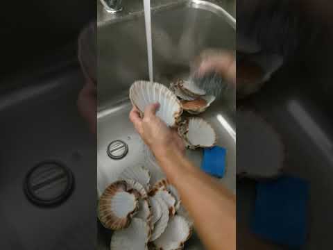 This finger clams have many meaning