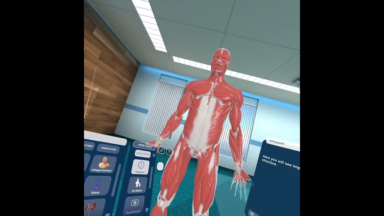Exploring Quest app: Human Anatomy VR
