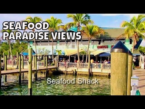 The Best Seafood Shack with a View in the World