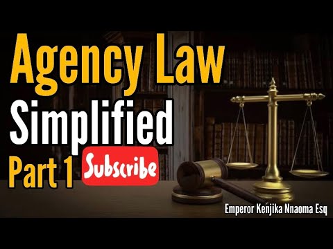 Principal vs Agent: What Lawyers Wonβt Tell You About This Relationship #SEO #agency #LawOfAgency