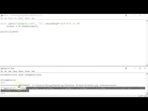 File I/O in Python 3