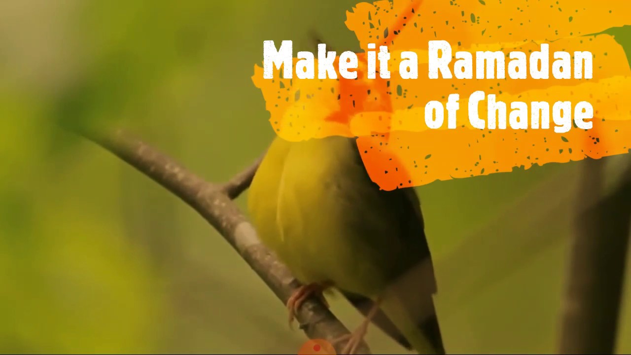 Ramadan of Change - An Online Course