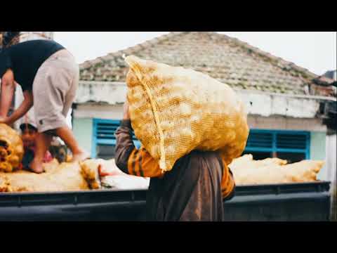 Desa Wisata Tosari Sanja Desa