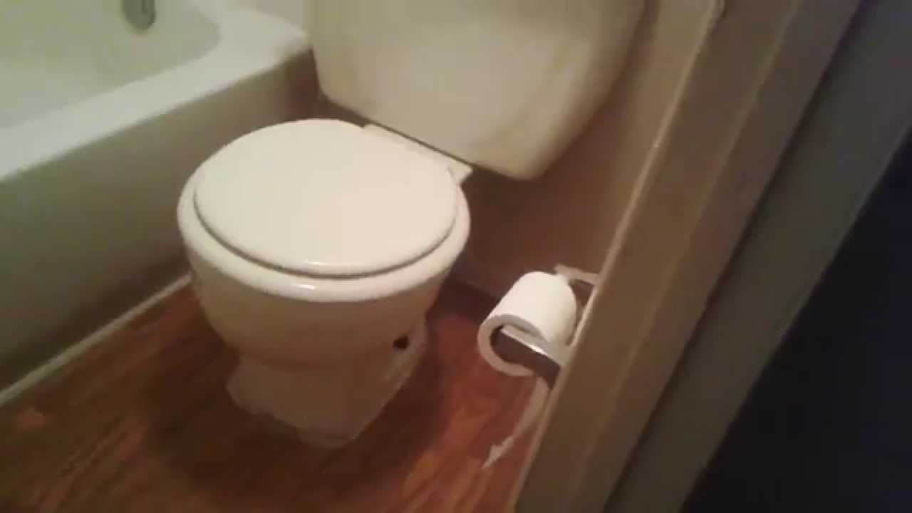 Vintage Vitromex Toilet