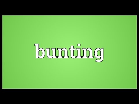 Bunting Meaning