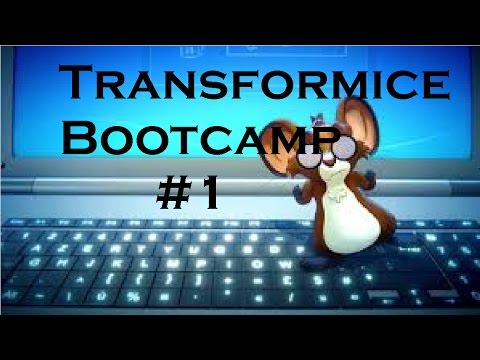 Steam Community :: Video :: Transformice Bootcamp #1