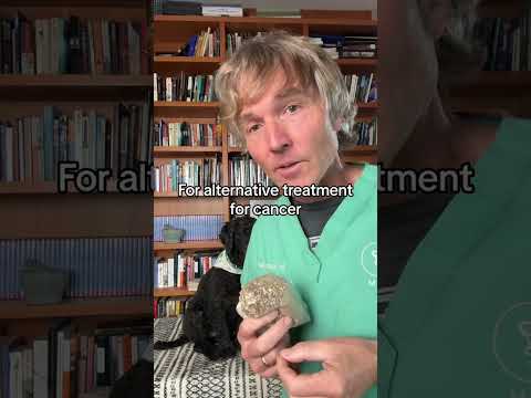 Dog Lymphoma (Cancer) 3 studied alternative treatments
