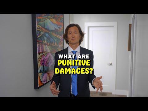 ⚖️ What Are Punitive Damages?
