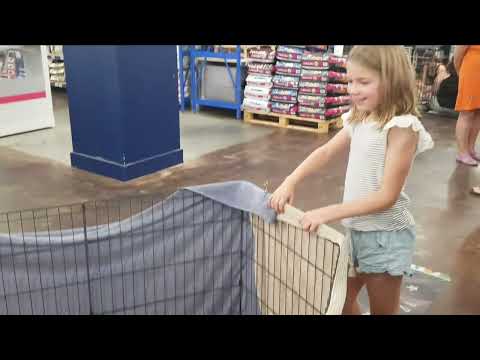 Petstock National adoption 2023 - come and join us