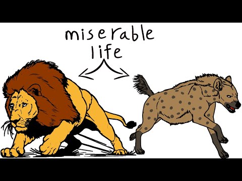 Why It Sucks to be born in the savannah (compilation)