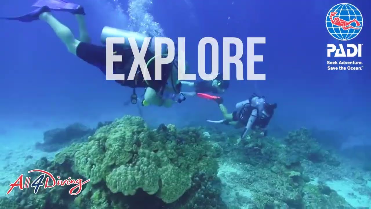 Discover All 4 Diving: Your Ultimate Dive Shop in Phuket