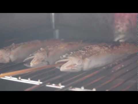 Ayu - Japanese Sweetfish