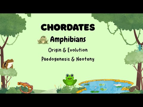 AMPHIBIANS | EVOLUTION | NEOTENY | PAEDOGENESIS | JKPSC ZOOLOGY 2025
