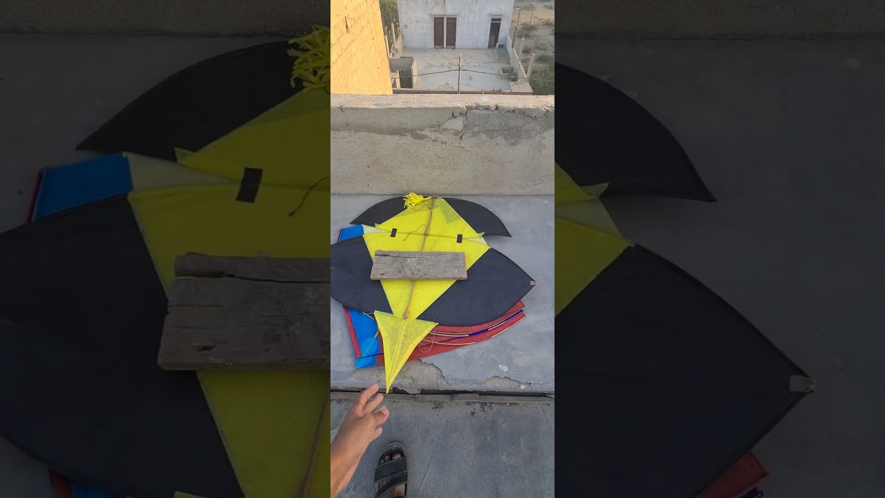 #bedroomfrontfloorcleaningvlog #vlog #february17 #ihavethisthingwithplants #kite #minivlog
