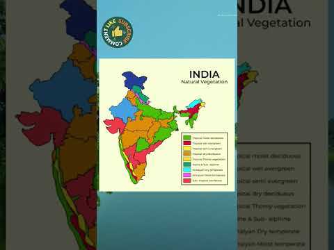 India natural vegetation | Types of forest in India |Indian forest