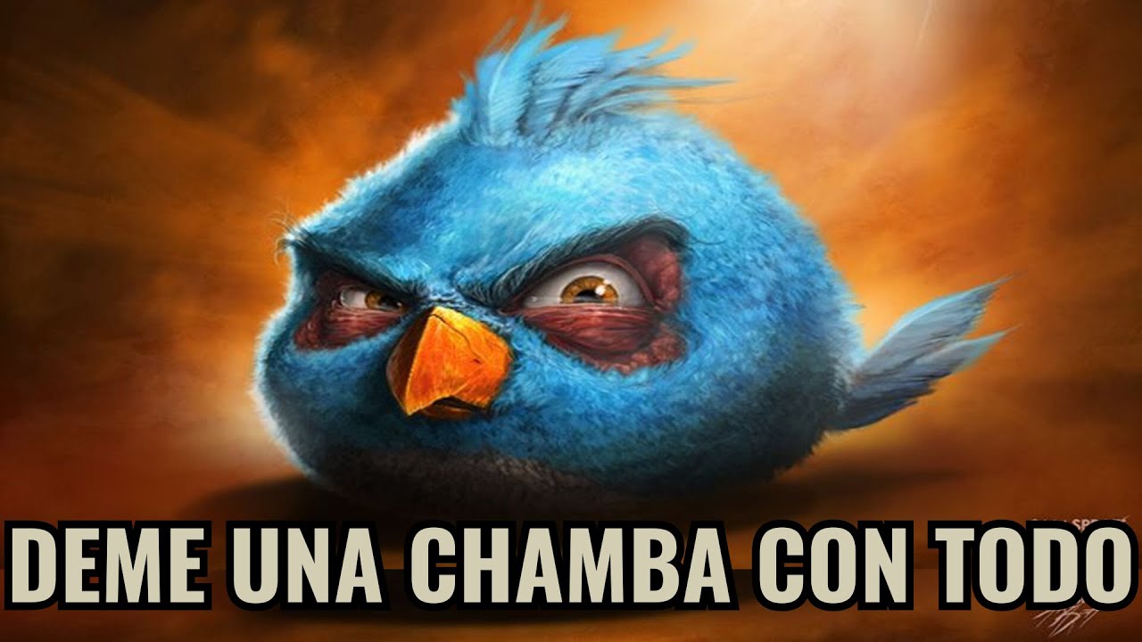 SHITPOSTING COMPILATION 14 - MEMES MUY RANDOM XD