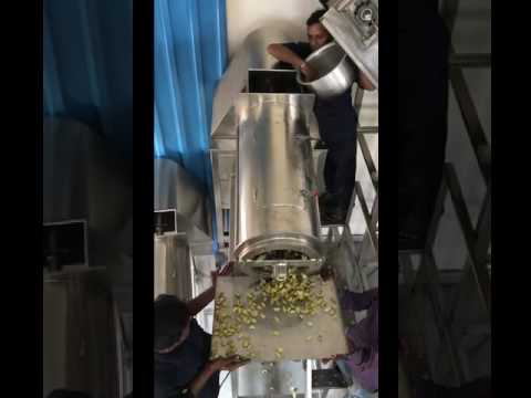 Amla Processing Machine at Best Price in India