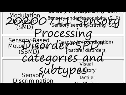 How to pronounce 20200711 Sensory Processing Disorder"SPD" categories and subtypes in English?