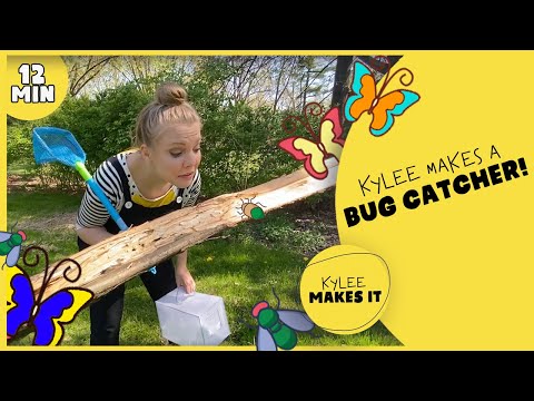 Kylee Makes a Bug Catcher | Insect Activity for Kids | DIY Bug Catcher | Easy Butterfly Art Painting