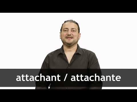English Translation of “ATTACHANT” | Collins French-English Dictionary