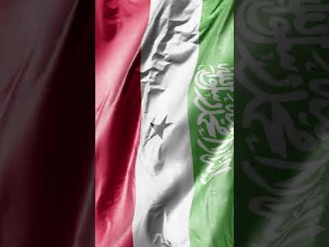 🇸🇴 Somaliland Flag: Unrecognized, Yet Full of Pride! #Somaliland