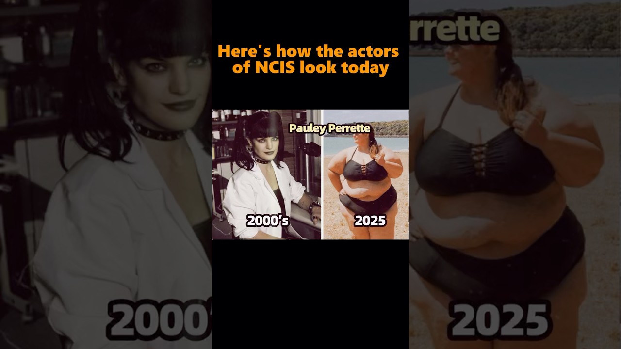 Here's how the actors of NCIS look today. #USA #celebrities #Hollywood #celebrities #actor