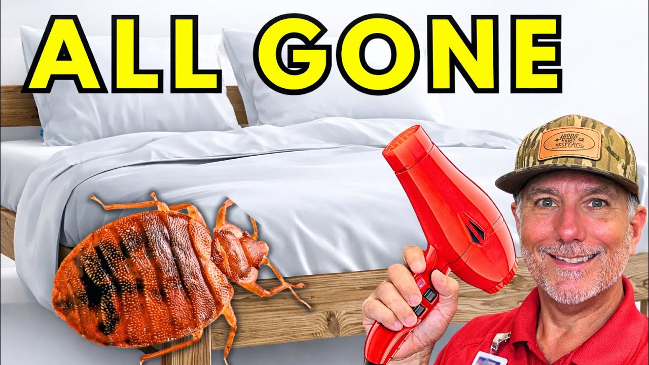 Get Rid Of Bed Bugs In Your Home NOW!