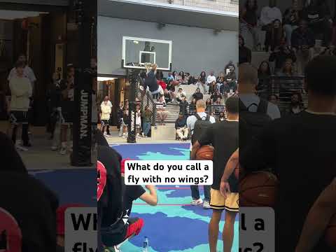 RIDDLE: What do you call a fly with no wings? 🧠🪰😂 #funny #basketball #nba #dunk #fly #insects