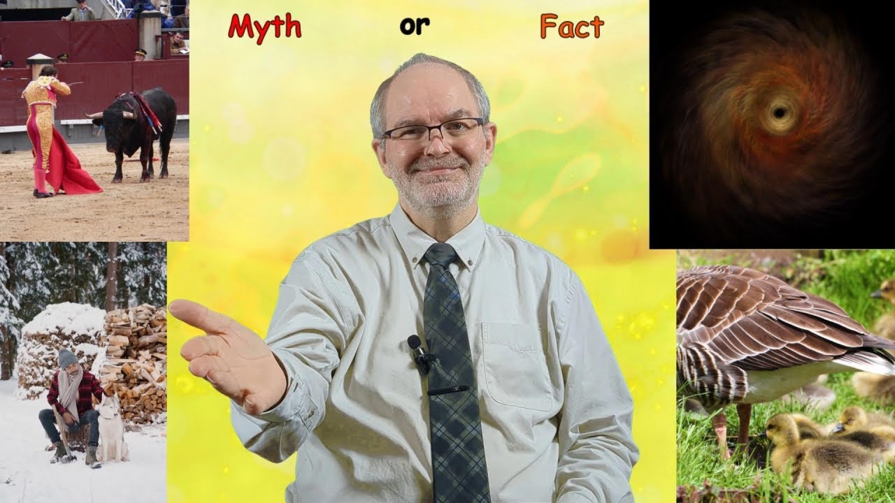 Debunking Common Myths: 20 Facts You Need to Know