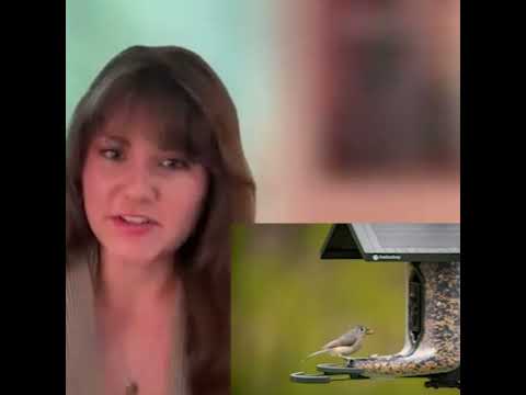 FeatherSnap Scout brings new features to smart bird feeder