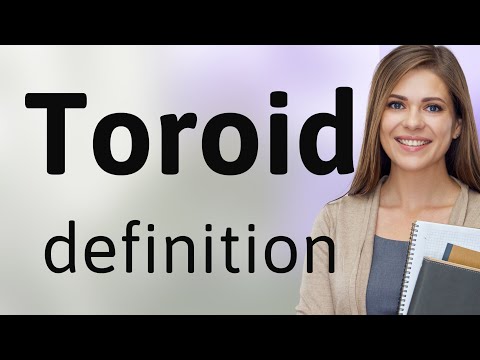 Toroid • what is TOROID definition