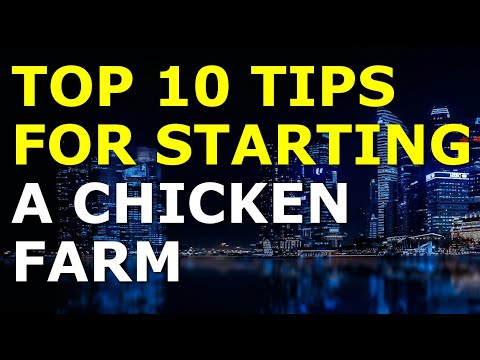 Starting a Chicken Farm Business Tips | Free Chicken Farm Business Plan Template Included