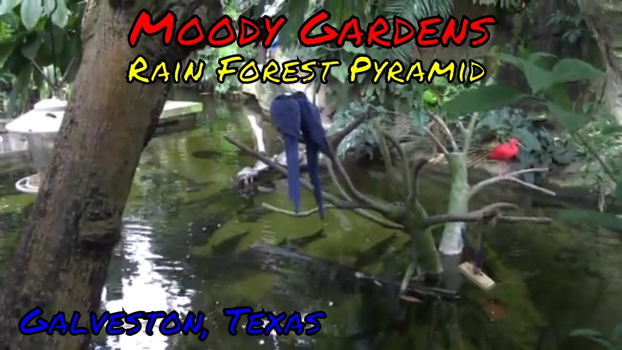 Moody Gardens Rain Forest Pyramid - Galveston, Texas