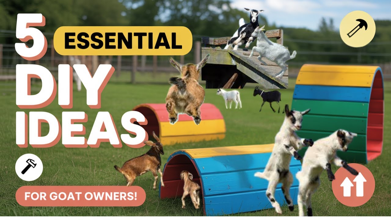 Bored Goats? Build This Before They Destroy Everything