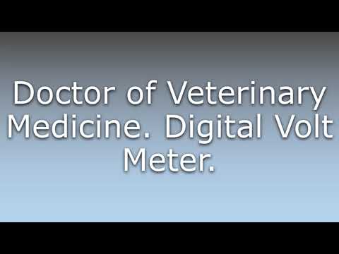 What does DVM mean?