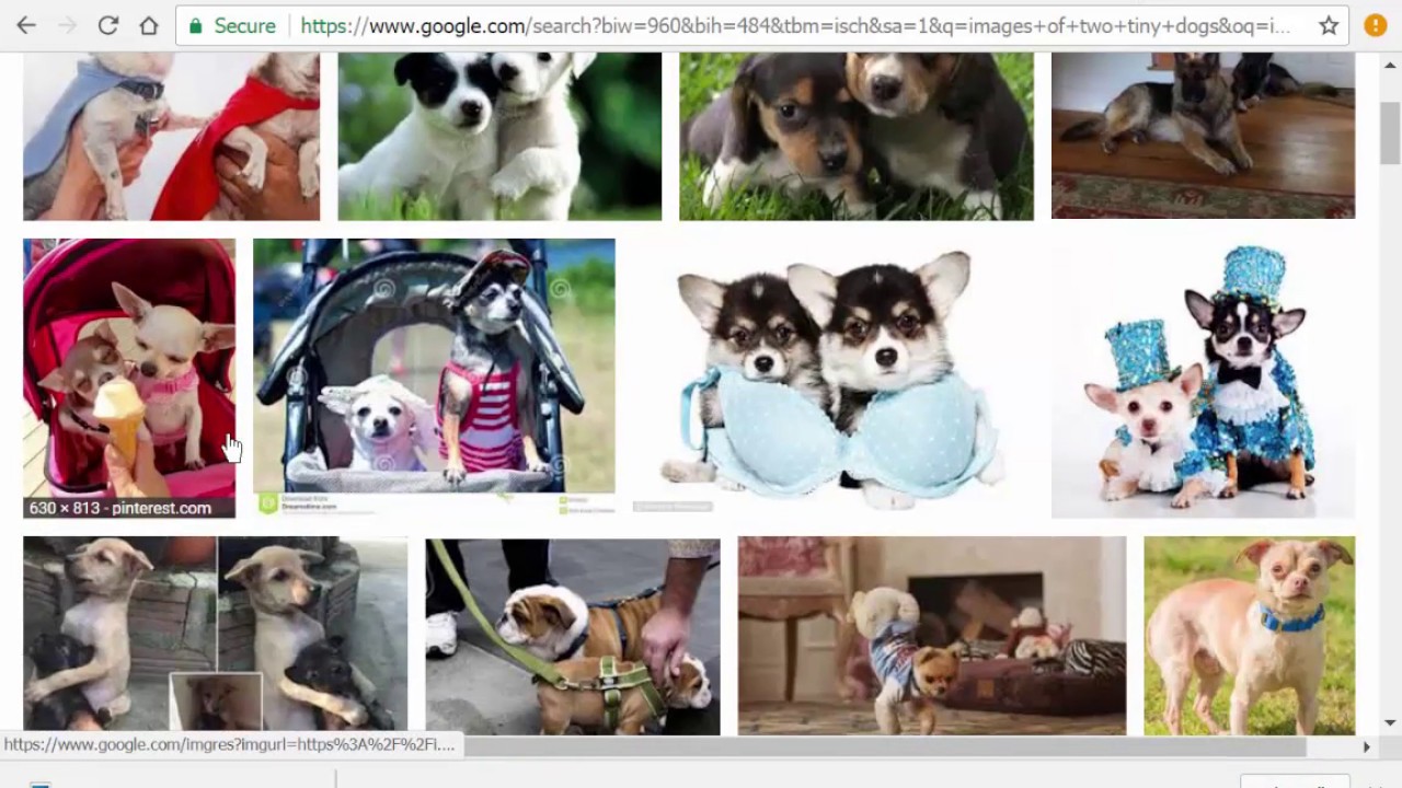 30 Things About Me PREZI Project Video Tutorial