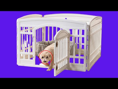 Before You Buy IRIS USA Exercise Pet Playpen and Panels for Dog, Puppy and Small Animals