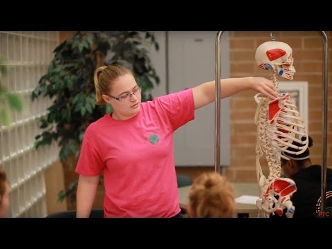 Why Study Healthcare At PTC