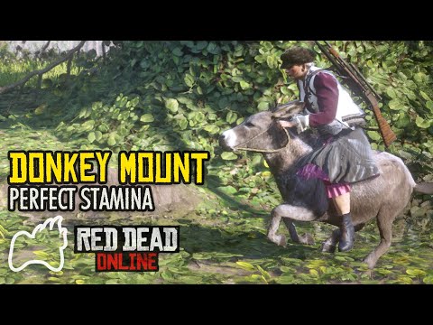 Steam Community :: Video :: Where to Find a DONKEY? Riding in Full ...