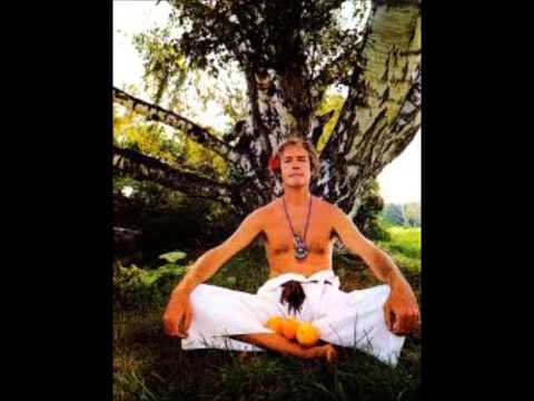 Dr. Timothy Leary The Politics of Ecstasy Psychedelic Philosophy Book ...