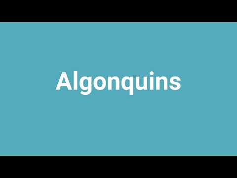 'Algonquins' Meaning and Pronunciation