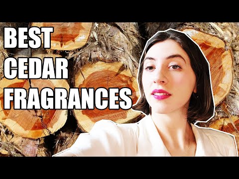 BEST CEDAR FRAGRANCES | WOOD FRAGRANCES